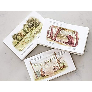 Our Little Adventures: Stories Featuring Foundational Language Concepts for Growing Minds (Our Little Adventures Series)