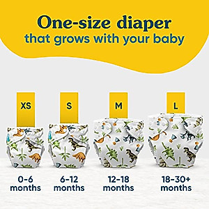 Charlie Banana Baby Fleece Reusable and Washable Cloth Diaper System, 1 Diaper and 2 Inserts, Gone Safari, One Size