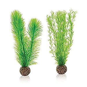 biOrb 46083.0 Feather Fern Set Small Green Aquariums