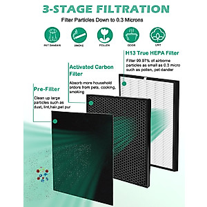 Miloidea 10 Pack 3000 True HEPA Replacement Filters Compatible with 3000,3000M,3000Pro Air Purifier, 2 True HEPA, 2 Activated Carbn & 6 Extra Carbn Pre-filters(2+2+6), 3000 Accessory, NOT for 3500