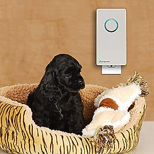 Germ Guardian GG1100W 7” Pluggable Small Air Purifier, Small Room Wall Air Sanitizer, Freshens Air, UV-C Light Kills Germs, Reduces Odors from Pets, Cooking, Mold, GermGuardian, 1-Yr Wty (White)