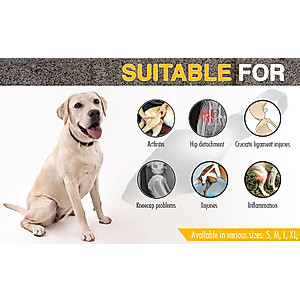 RadHaven Dog Knee Brace for Torn ACL Hind Leg, Cruciate Ligament Injuries, Patella Dislocation, Double Straps and Comfortable Dog Leg Braces for Back Leg Support (Right- Large)