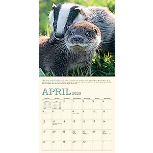 Unlikely Friendships Wall Calendar 2020