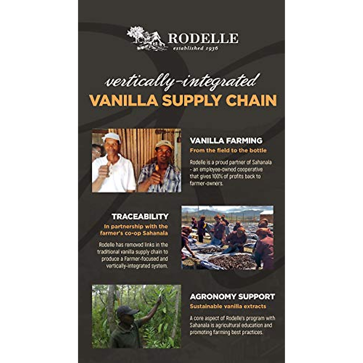 Rodelle All Natural Vanilla Bean Paste, 4oz Jar, Use Like Pure Vanilla Extract