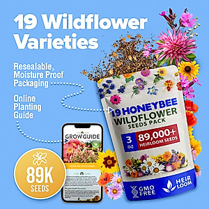 HOME GROWN Wildflower Seeds (3oz) 89,000+ Flower Seed Mix | No Filler | 19 Varieties, USA-Sourced Bulk Wild Flowers Seeds for Planting, Butterfly & Pollinator Perennial and Annual Wild Flower Mix