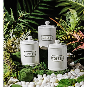 Relief Rectangle TAWCHES Ceramic Canisters Sets For The Kitchen Canisters For Countertop Set of 3 Airtight Coffee Canisters For Ground Coffee Sugar Container Tea Storage Jars With Lids Farmhouse Decor