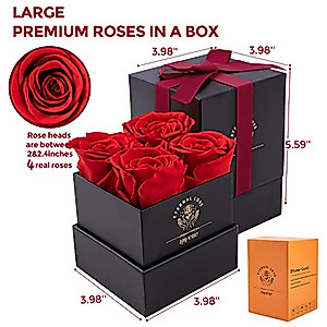 Impouo Flowers for Delivery Prime - Roses in a Box - Fresh Flowers - Forever Rose - Birthday Gifts for Women - Preserved Roses, Gifts for Mom/Girlfriend/Wife/Grandma