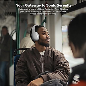 Gabba Goods Wireless Over Ear Bluetooth Headphones with Microphone - Wireless Headset -Noise Reduction - Bluetooth, Wired,Built in Micro SD for Travel, Home, Work TV,PC,Gaming,Cellphone (Silver)