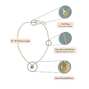 Lucky Feather Pisces Zodiac Sign Constellation Pendant Necklace for Women, 14K Gold-Dipped with Adjustable 16” – 18” Chain