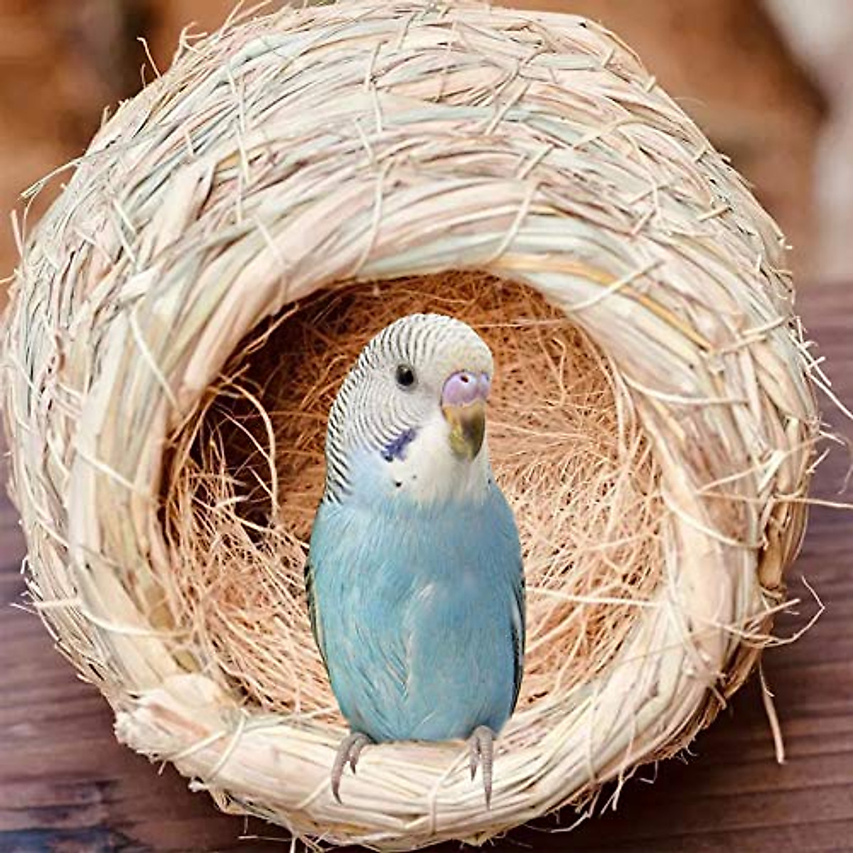 kathson Bird Nesting Materials Coconut Fiber Bird Nest Bedding Material Warm and Breathable Linen Silk for Bird Small Animals (6 Pack)