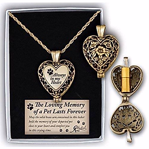 Cathedral Art Always in My Heart Pet Memorial Locket with Mini Urn - Gold Plated