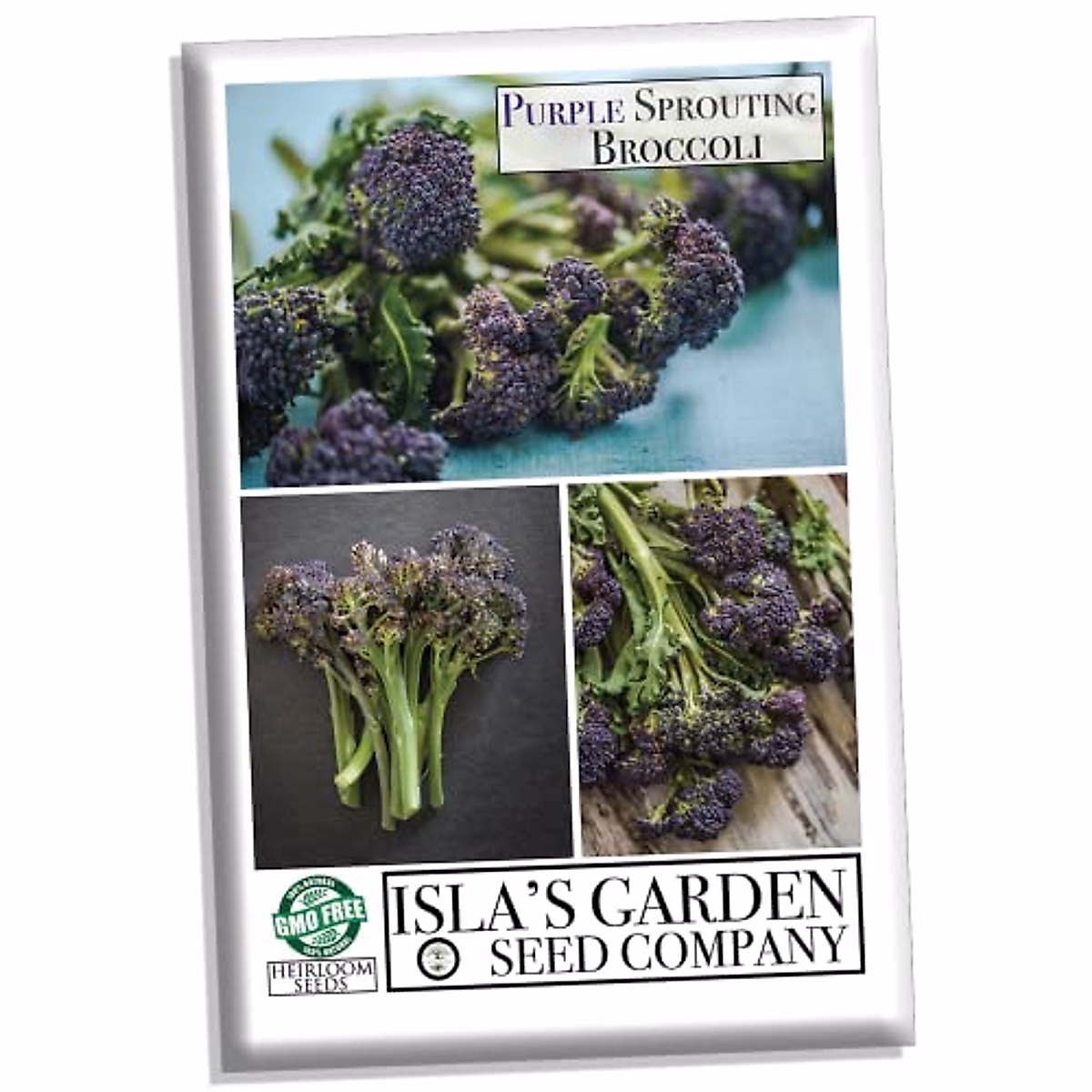 Purple Sprouting Broccoli Seeds, 500+ Heirloom Seeds Per Packet, (Isla's Garden Seeds), Non GMO Seeds, Botanical Name: Brassica oleracea, 85% Germination Rates