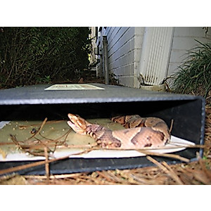 Cahaba Snake Trap (1 PK) Commercial Grade Large/Reusable 32"x10"x3" with (3) Large Catch Inserts Made in USA