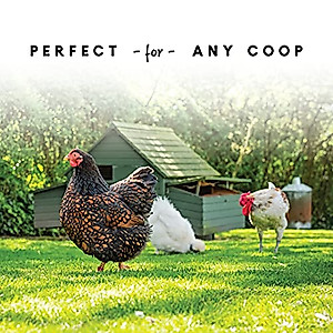 Harris Farms Free Range Hanging Poultry Feeder | Twist Lock Base | 10 Pound,White