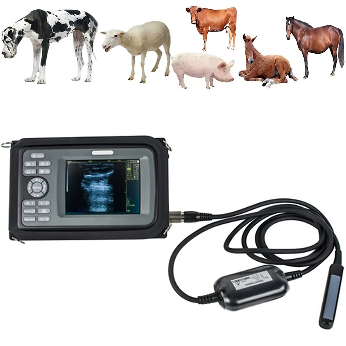 Colilove Veterinary Ultrasound Scanner Handheld Digital Ultrasound Scanner Veterinary Handscan V8 with 4.0MHz Rectal Probe for Pregnancy Check On Farm Animals Cattle/Horse/Camel/Equine/Goat/Cow/Sheep