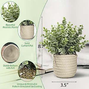 Hopewood Faux Plants, Fake Plants Eucalyptus Potted for Home Office Desk, Artificial Eucalyptus with a Weave Basket for Indoor Greenery Tabletop