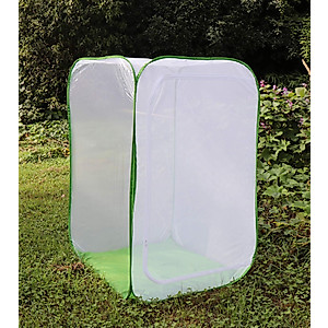 5 Feet Extra Large Monarch Butterfly Habitat, Giant Collapsible Insect Mesh Cage Terrarium Pop-up (White + Green, 35 x 35 x 59 Inches)
