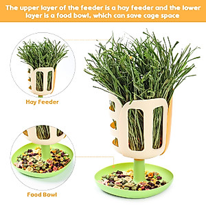 VCZONE Anti-Waste Large Capacity Hay Feeder for Guinea Pig, Rabbit, Chinchilla - 2 in 1, Orange