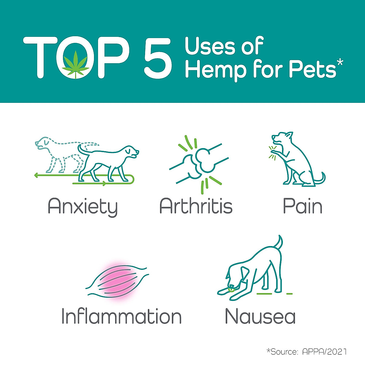 Vetality Calming Collar for Dogs, Separation Anxiety and Hip and Joint