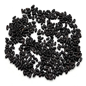 The Old Farmer's Almanac Heirloom Lavender Seeds (Common English) - Approx 360 Seeds - Non-GMO, Open Pollinated