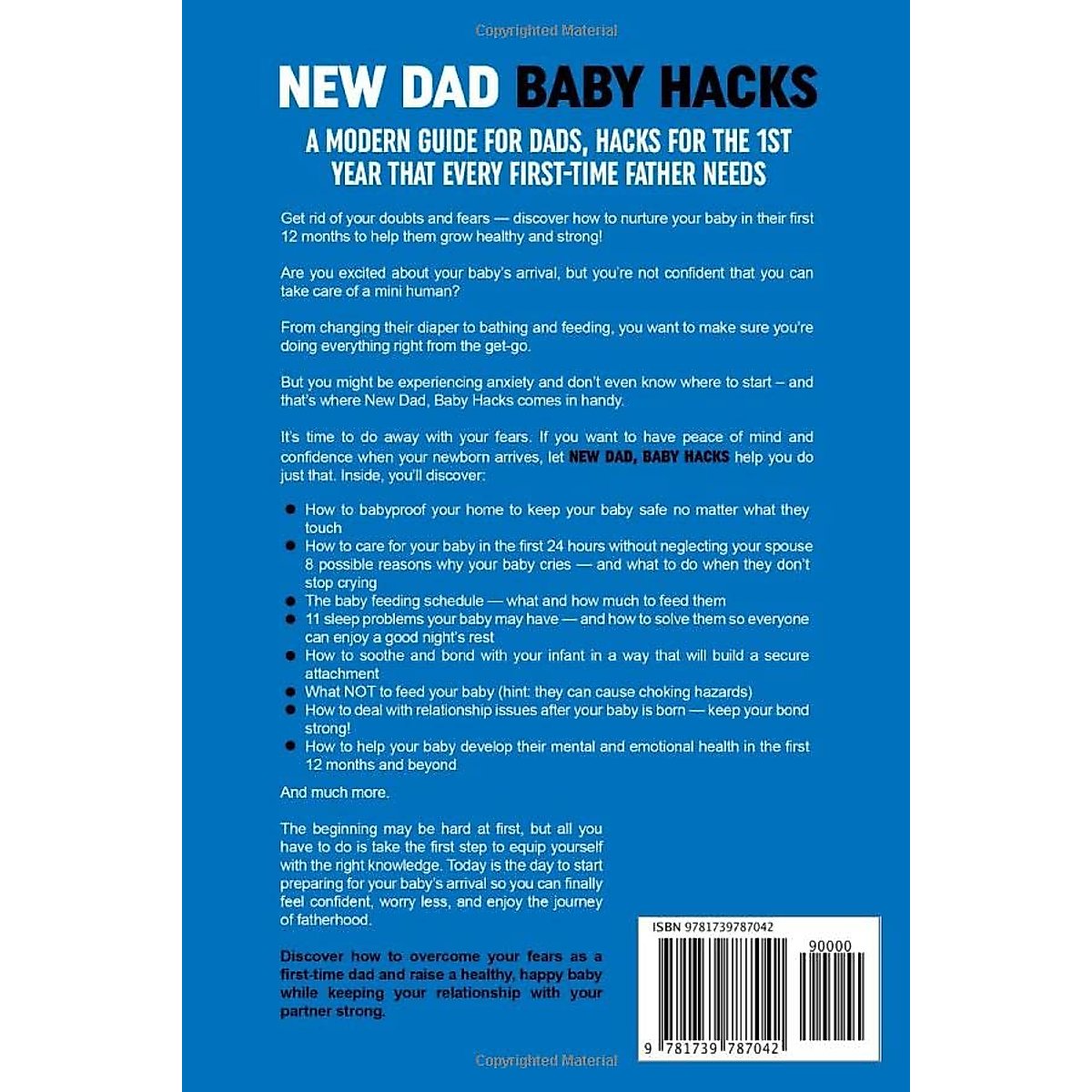 NEW DAD BABY HACKS: A Contemporary Guide For Dads, Strategies For The 1st Year That Every First Time Father Needs (New Dad Hacks Book Series)