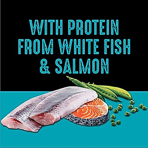 CRAVE Grain Free High Protein Adult Dry Dog Food, White Fish & Salmon, 22 lb. Bag