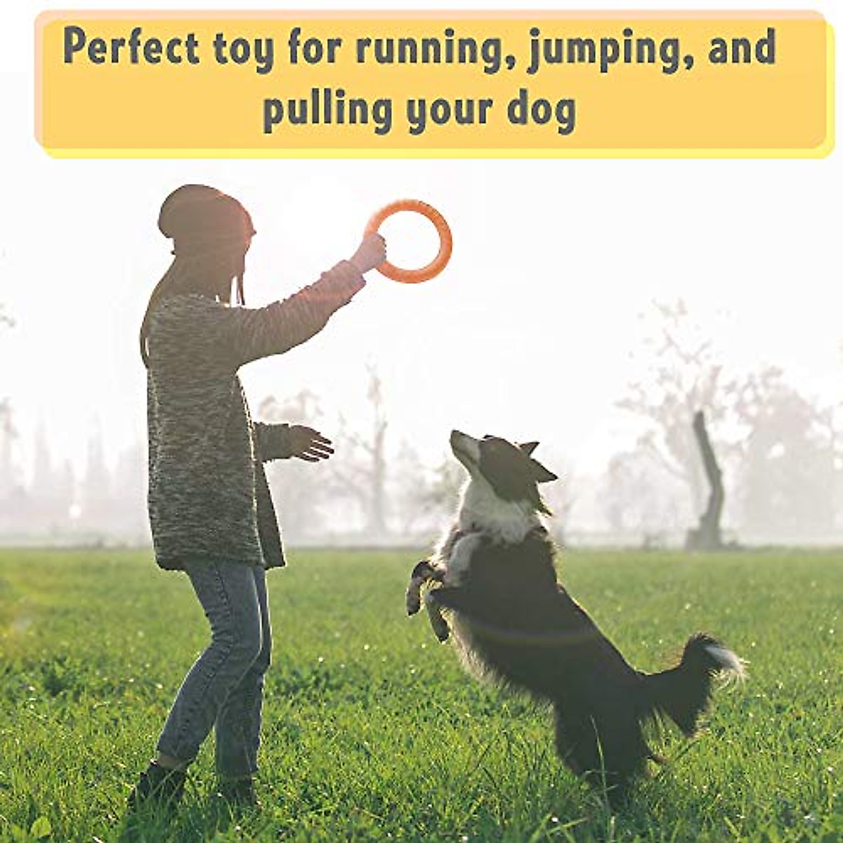 PetSpy Dog Training Ring for Outdoor Fitness Floatable Pulling Toy and Flying Disc Interactive Play Tool for Small Medium Large Dogs