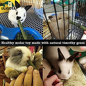 ULIGOTA Timothy Hay Sticks 20pcs Rabbit Molar Toys Bunny Toys Guinea Pig Toys Natural Chews for Teeth Handmade Rabbit Chews and Treats Chinchilla Rat Hamster Gerbil
