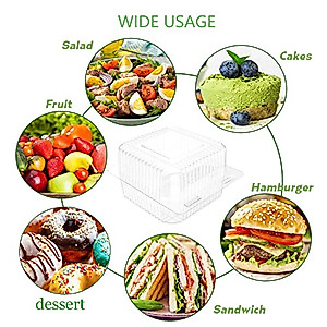 100 Pcs Clear Plastic Hinged Take Out Containers Disposable Clamshell Food Cake Containers with Lids 5.3 x 4.7 x 2.8 inch for Dessert, Cakes, Cookies, Salads, Pasta, Sandwiches