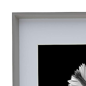 Studio Nova Picture Frame Displays 8 x 10 Photos 11 x 14 Without Mat, 11x14-Matted 8x10, Gray