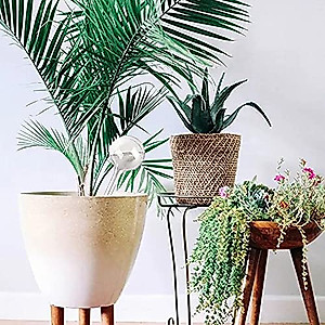 Gddochn 10 Pcs Plastic Clear Self-Watering Bulbs,Garden Plant Watering Globes,Plastic Automatic Devices Watering Globe for Indoor Outdoor Plants,Flowers