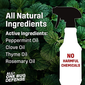 Exterminators Choice Rat Defense Spray | 32 Ounce and 8 Large Glue Traps | Natural, Non-Toxic Rat Repellent | Quick, Easy Pest Control | Safe Around Kids & Pets