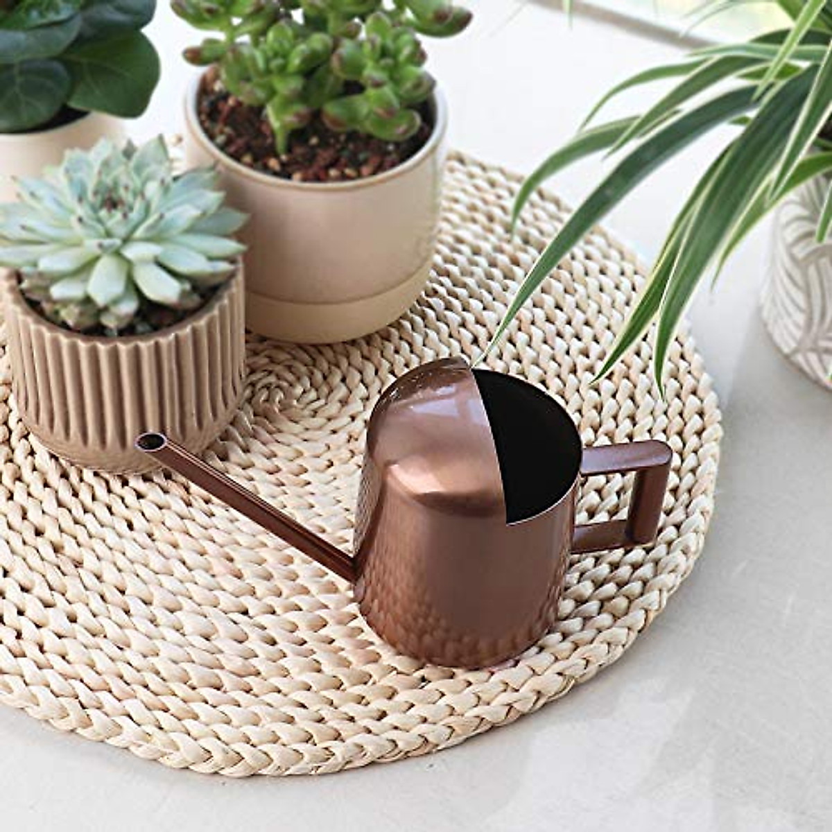 Watering Cans, 10oz/300ml Stainless Steel Long Spout Small Watering Sprinkling Pot, Indoor Outdoor Garden Flower Succulents Plant Watering Cans, Stylish Gardening Decoration(Bronze)