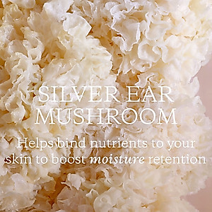 KORA Organics Milky Mushroom Oil Cleanser, Cleanse & Nourish, Certified Organic, Cruelty Free, 5.07 oz