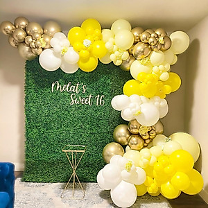 Yellow Balloon Garland Arch Kit, Lemon Daisy Honey Bee Theme Yellow Light Yellow White and Gold Balloons for Baby Shower Sunflower Sunset Sunshine Balloons Arch Party Decorations