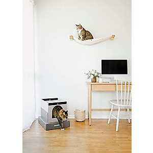 SpeedySift Hooded Cat Litter Box Starter Kit, Includes 56ct Disposable Sifting Liners, Material: Corrugated Plastic Board