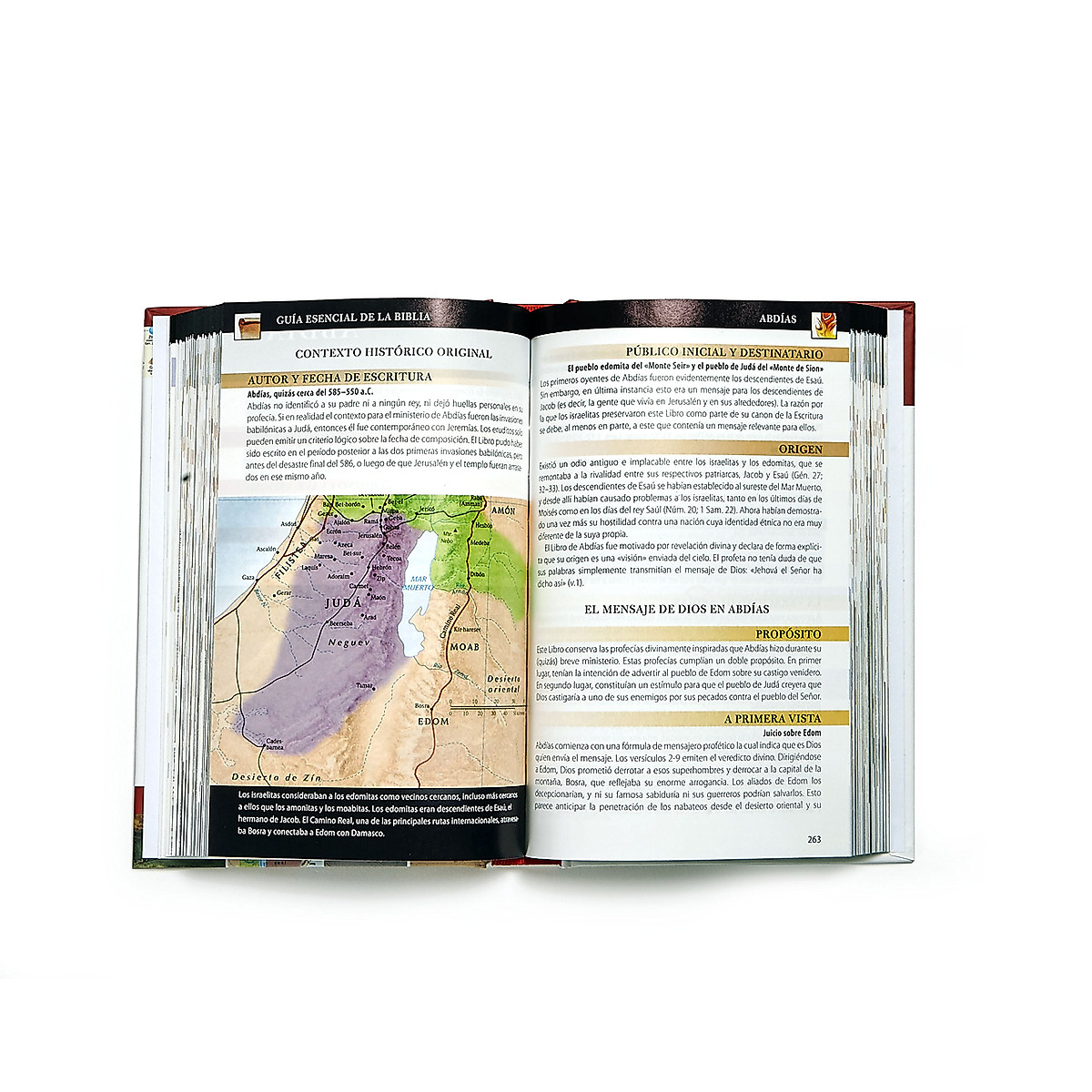 Guía esencial de la Biblia | Ultimate Bible Guide (Spanish Edition)