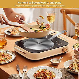 9.45 Inches Induction Plate Adapter for Glass Cooktop, Stainless Steel Heat Diffuser for Electric Gas Glass Stove with Detachable Handle