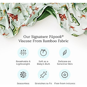 Posh Peanut Baby Pajamas Set - Toddler Sleepers Little Girl Clothes - Kids Two Piece PJ - Soft Viscose Viscose from Bamboo (Country Rose, 3T)