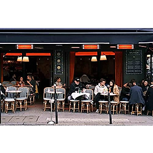 Econat C-15 | 1500-Watt Electric Heater with Thermostat | Energy Efficient Heater for Indoor and Outdoor