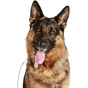 Cat/Dog/Animal Automatic Blood Pressure Monitor CONTEC08A-VET Electronic Sphygmomanometer Tonometer SPO2 Tongue Probe