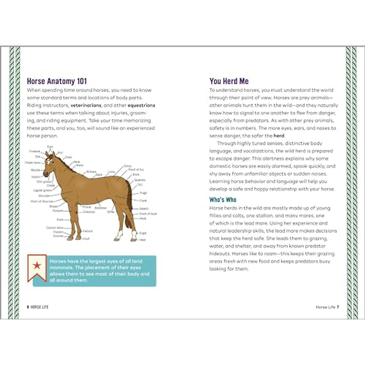 Horse Life: The Ultimate Guide to Caring for and Riding Horses for Kids