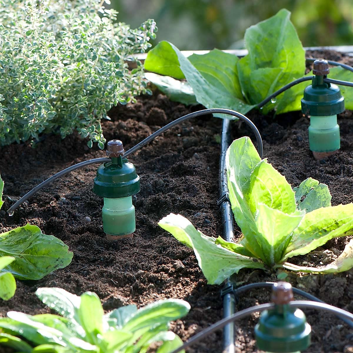 BLUMAT TUBING (50 Foot Roll) 3mm Drip Tube & Tubing || Runs into Blumat Cap/Top Valve || Designed for Distribution Drippers, BluSoak Drip Tape, and Blumat Accessories!