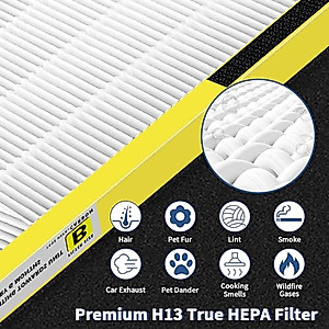 FLT4825 HEPA Filter B Replacement for G-Guardian Air Purifier AC4825, AC4300, AC4900, AC4825DLX, AC4850, CDAP4500, AP2200, 4 H13 True HEPA Filters + 8 Activated Carbon Pre-Filters