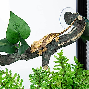 REPTIZOO 3 PCS Reptile Climbing Branch Terrarium Plants Decor with Suction Cup Resin Spliceable Corner Branch for Amphibian Snake Lizards Geckos Habitat Decor