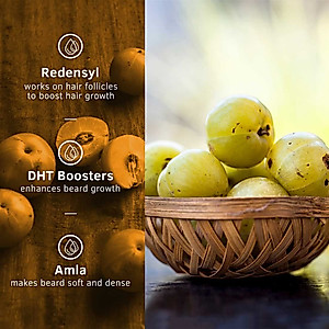 Ustraa Beard Growth Oil Advanced - 2oz - Beard Growth Oil for Patchy Beard, With Redensyl and DHT Booster, Nourishment & Moisturization, No Harmful Chemicals