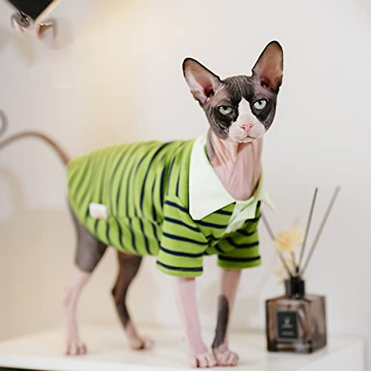 Sphynx Hairless Cat Clothes Autumn Waffle Stripe Lapel Polo Shirts Breathable Thicken Cotton T-Shirts with Sleeve Kitten Shirts Pet Clothes (M (6-7.7lbs), Black Green Polo)