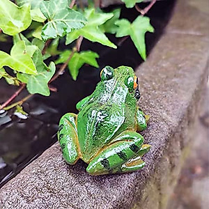 2 Pcs Frog Statues Miniature Simulation Small Animal Resin Sculpture Patio Lawn Yard Terrace Micro Landscape Fairy Garden Fish Tank Accessories Indoor and Outdoor Mini Decorative Ornaments (frog)