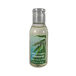 Bath & Body Works Rainkissed Leaves Shampoo. Lot of 18 Bottles. Total of 18oz