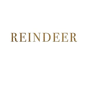 Reindeer: A decorative book for coffee tables, bookshelves and interior design styling | Stack deco books together to create a custom holiday message ... | Winter white (Christmas Book Shelf Decor)